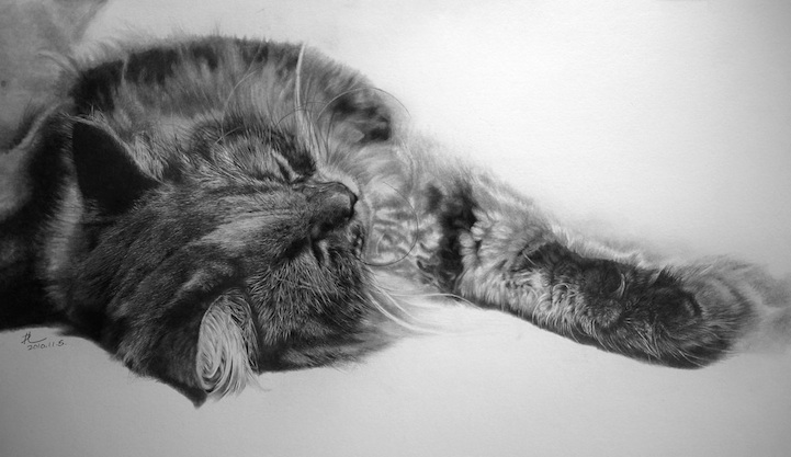 Mind-Blowing Photorealistic Pencil Drawings of Cats